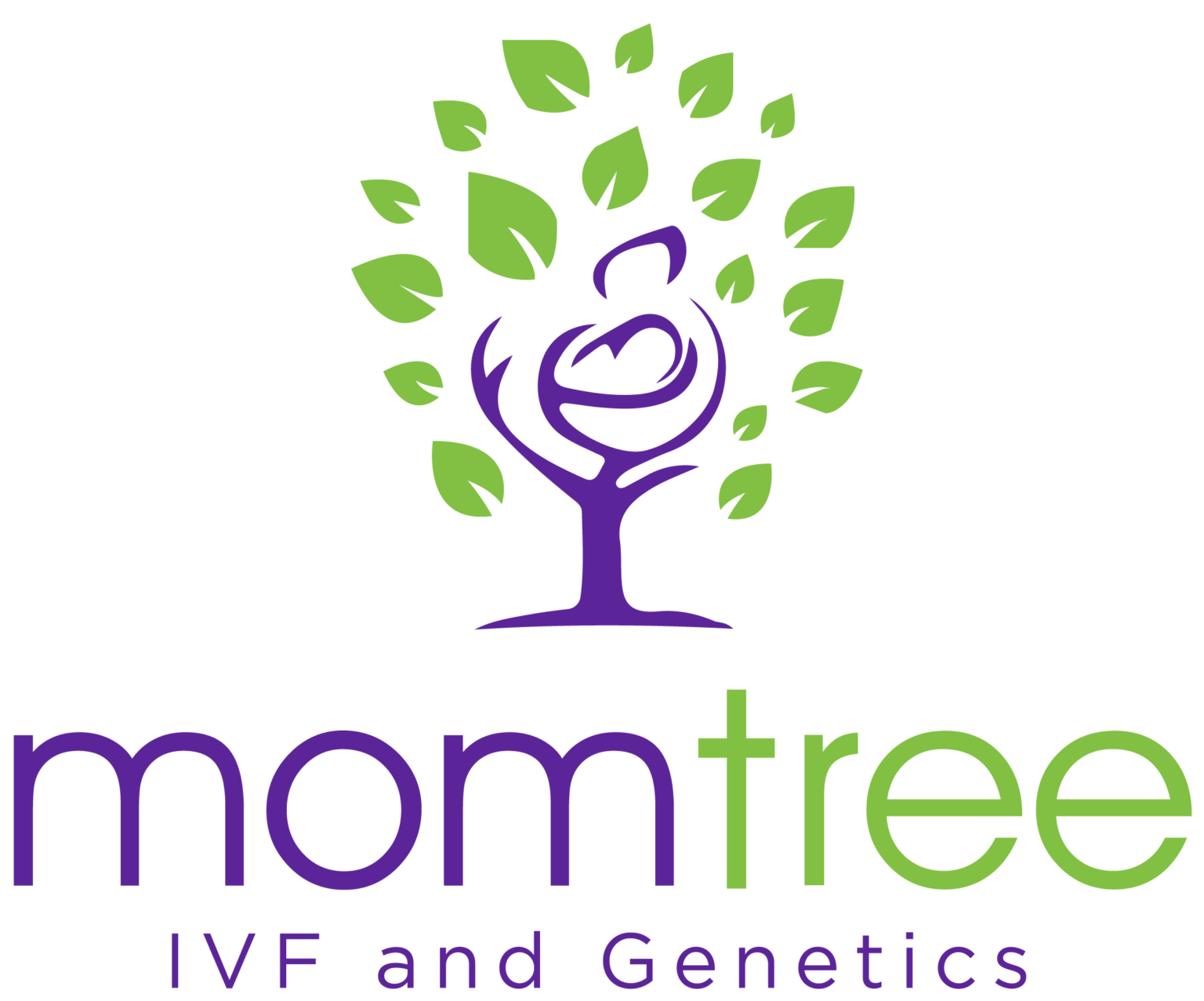 Digital Marketing & Graphic Design Agency in Mysore : Epixable